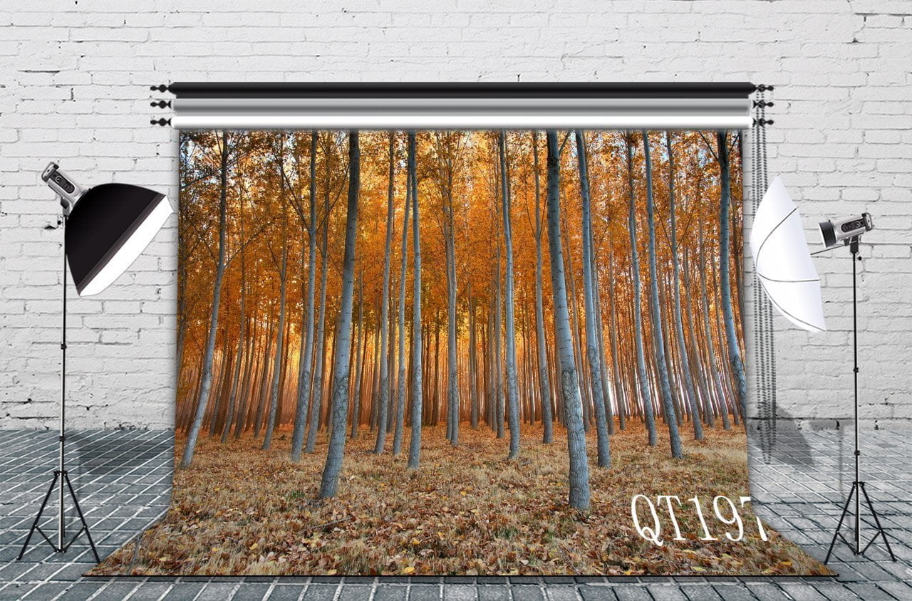 GreenDecor 7x5ft Autumn Woods Scenery Photography Backdrops Studio ...