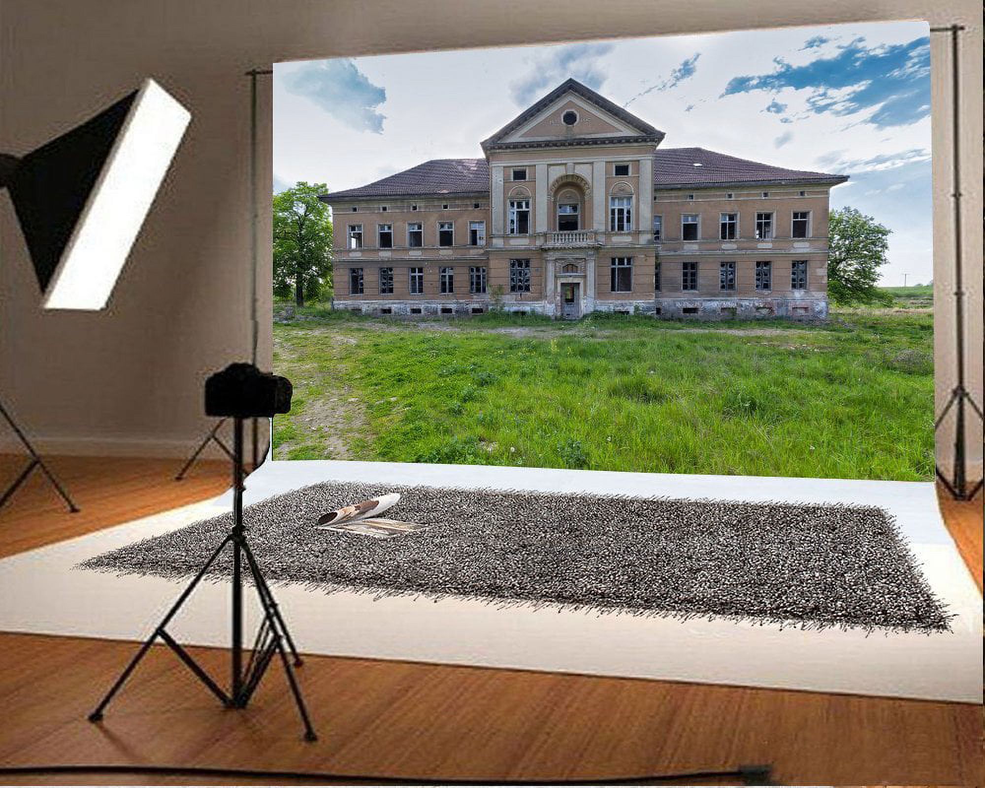 GreenDecor 7x5ft Backdrop Abandoned Palace Photography Background Blue ...