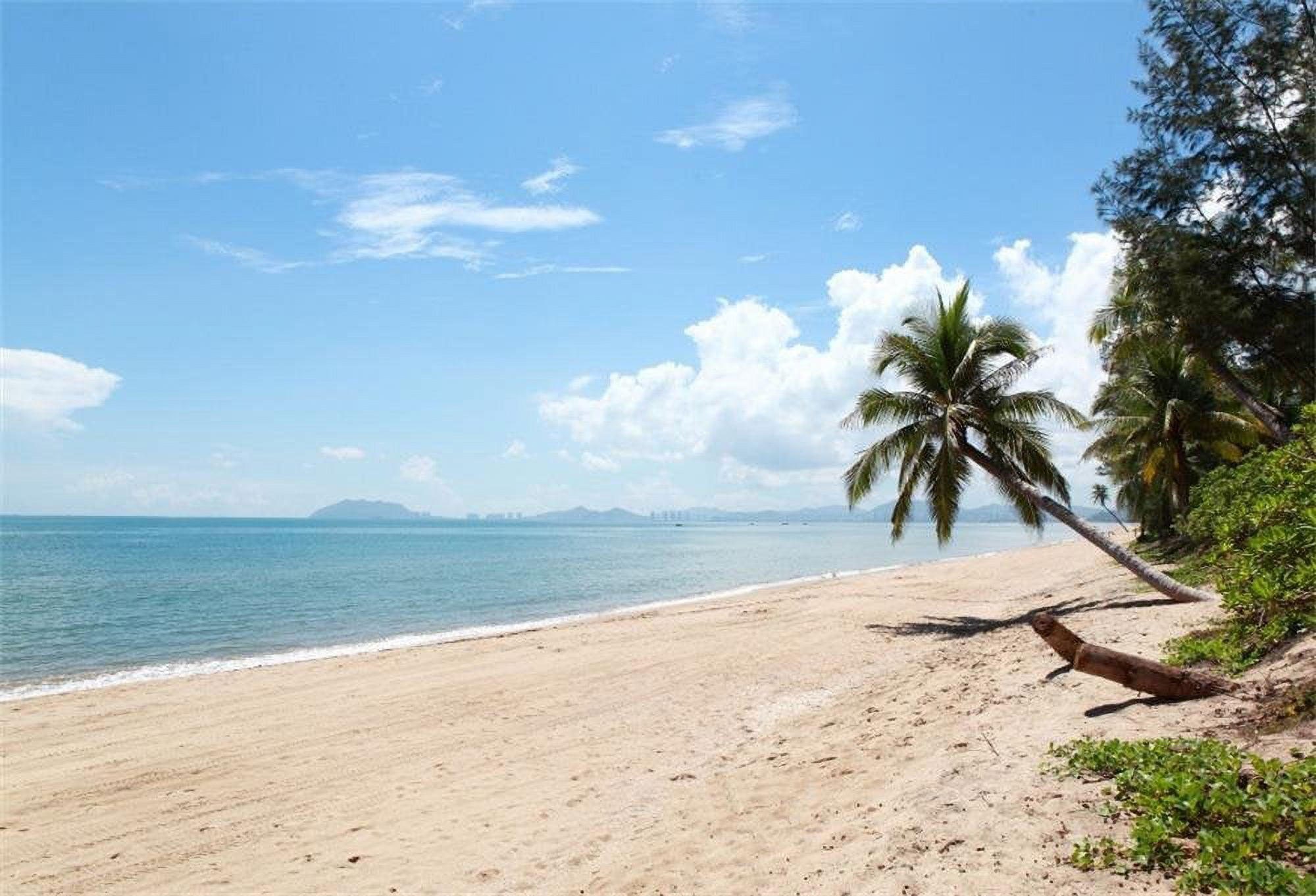 GreenDecor 7x5ft Backdrop Seaside Beach Holiday Festival Party ...