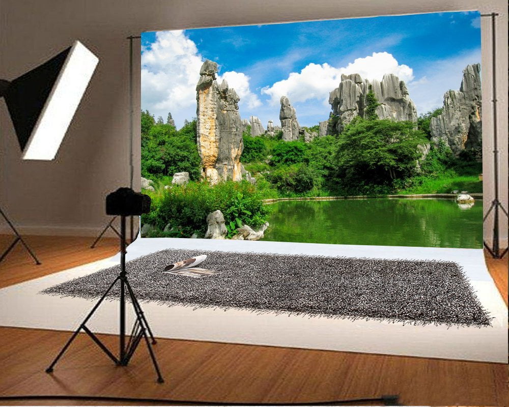 GreenDecor 7x5ft Backdrop Stone Forest Scenic Spot Photography ...