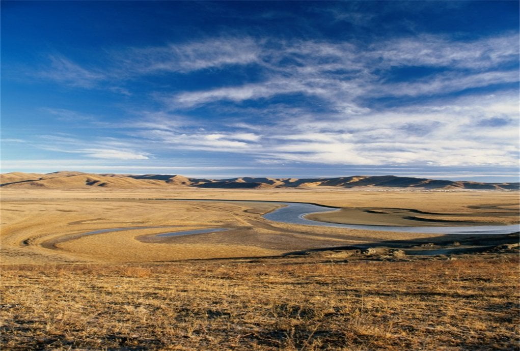 GreenDecor 7x5ft Barren Desert Scenery Backdrop For Photography Natural ...