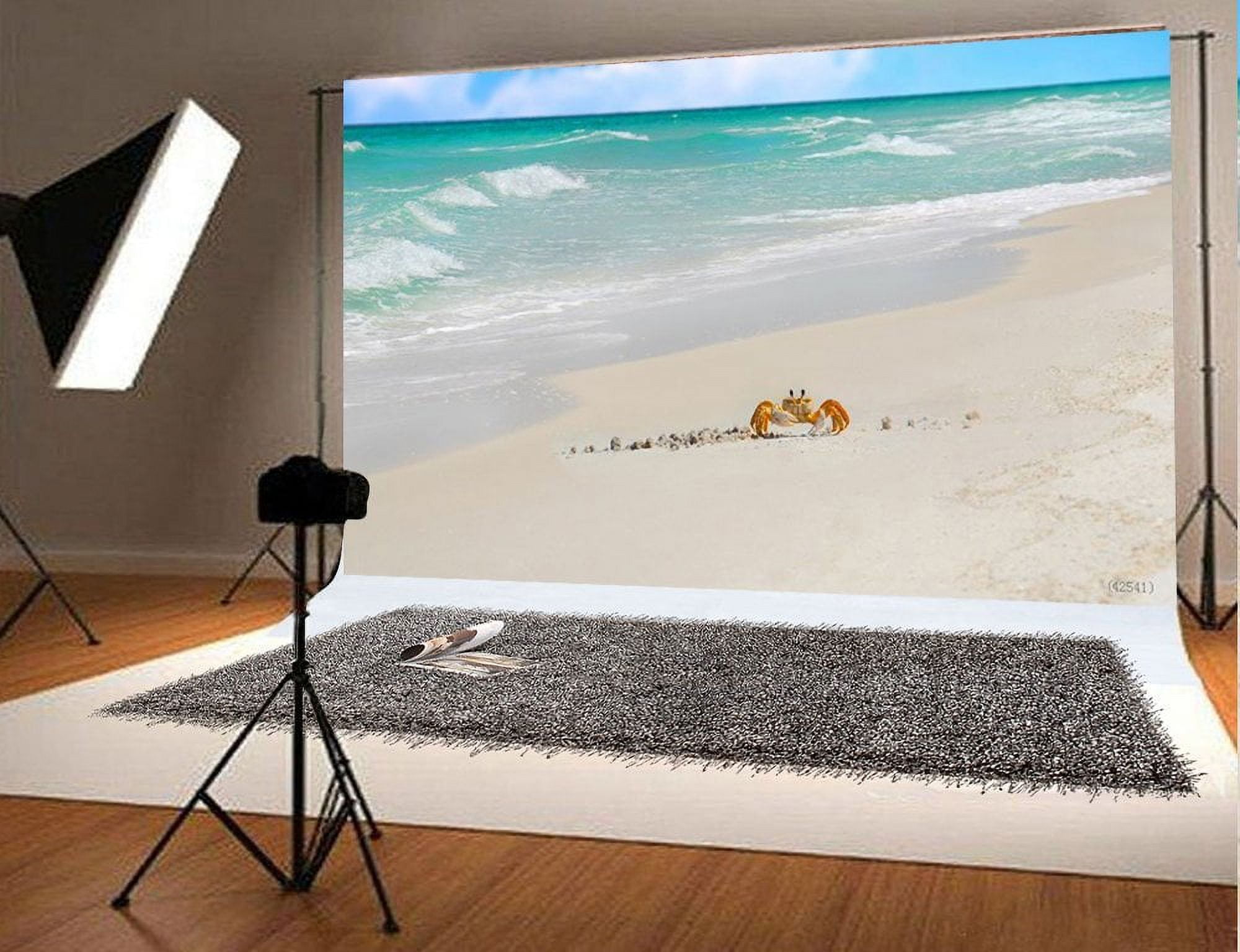 GreenDecor 7x5ft Beach Photo Backgrounds Sky Crab Summer Photography ...