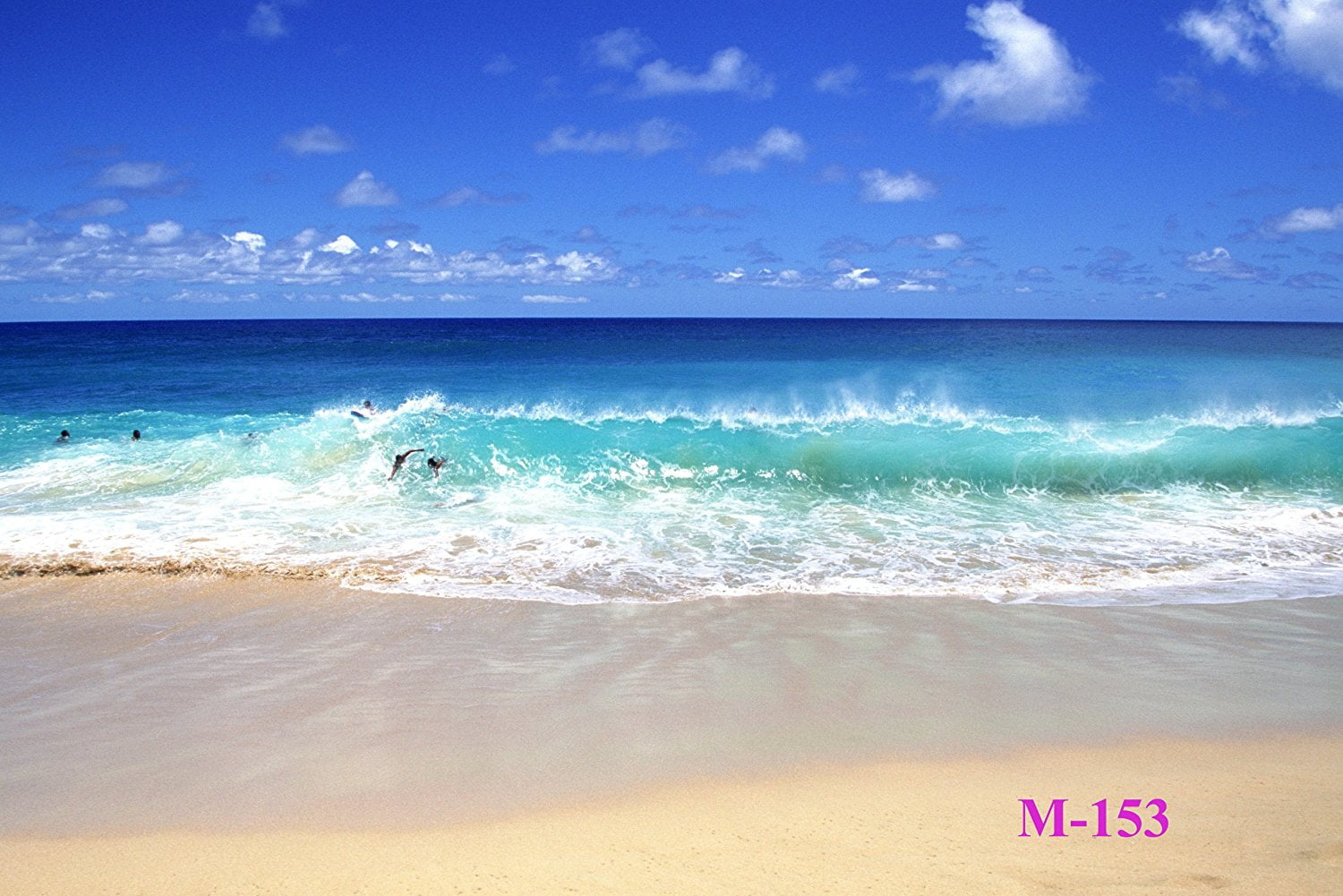 GreenDecor 7x5ft Beach Scenery Photography Backdrop Studio Background ...