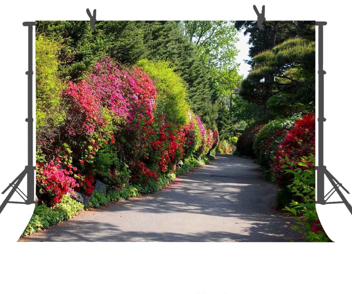 GreenDecor 7x5ft Beautiful Nature Road Photography Backdrop Studio ...