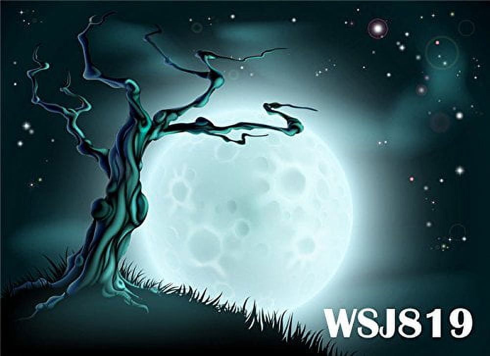 GreenDecor 7x5ft Bright Moon Photography Backdrop Photo Background ...