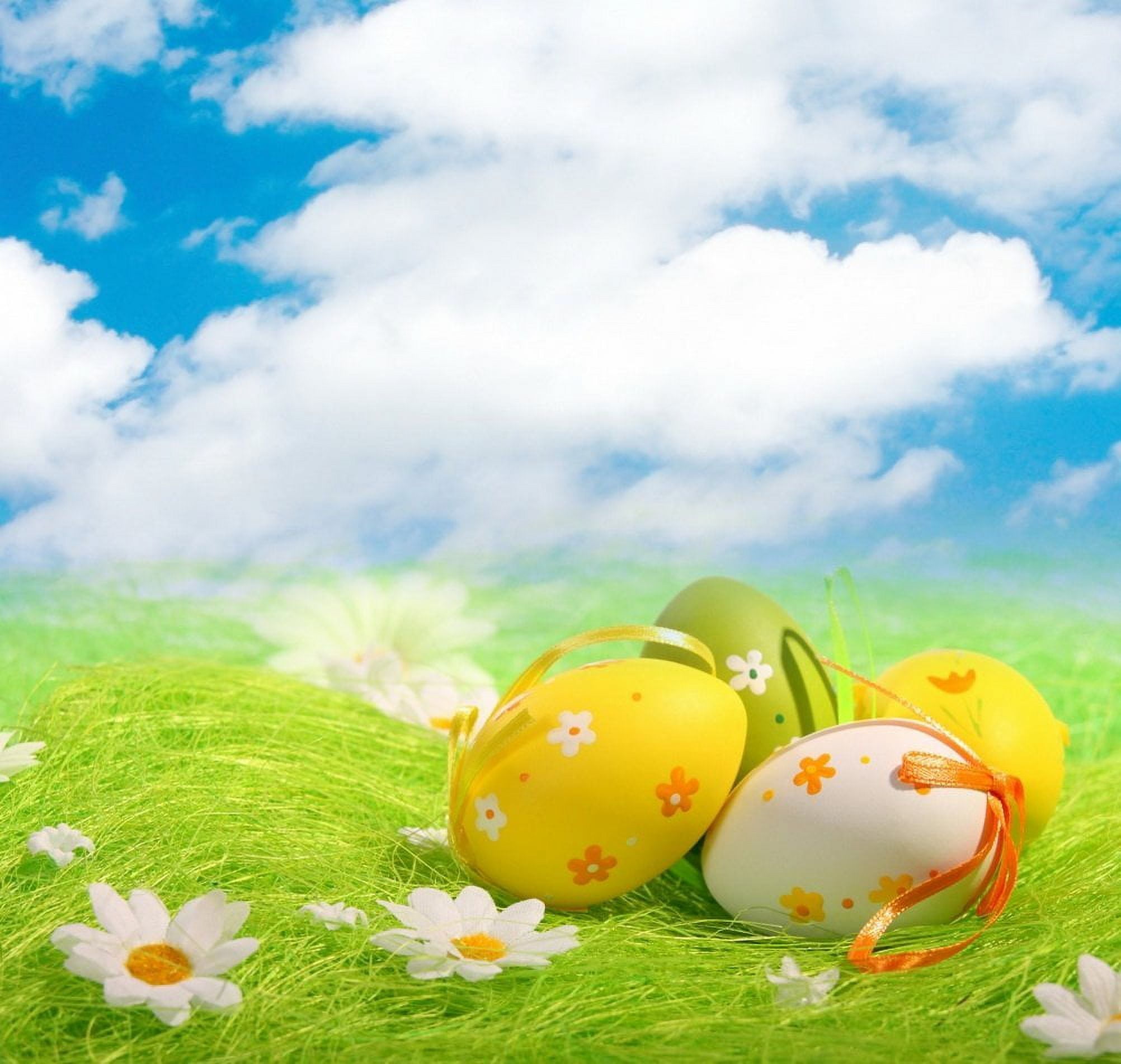 GreenDecor 7x5ft Easter Day Eggs in Grass Photography Backdrop Prop ...