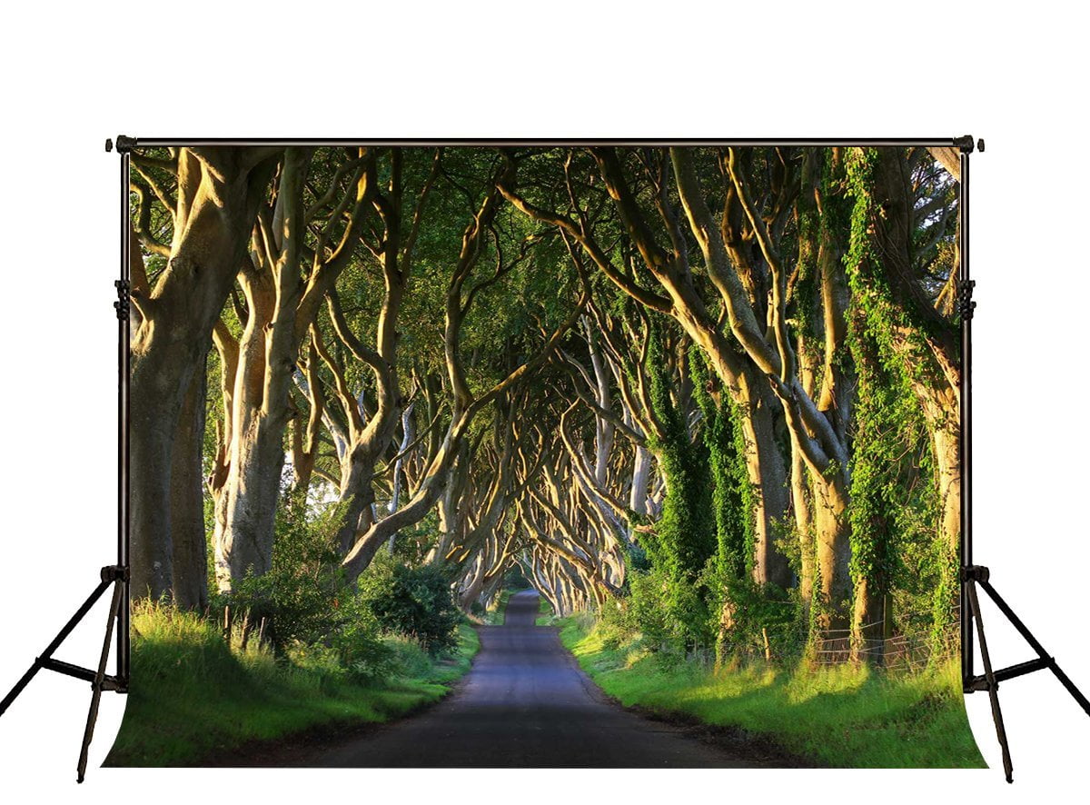 GreenDecor 7x5ft Fairy Forest Photography Backdrop Fantastic Forest ...