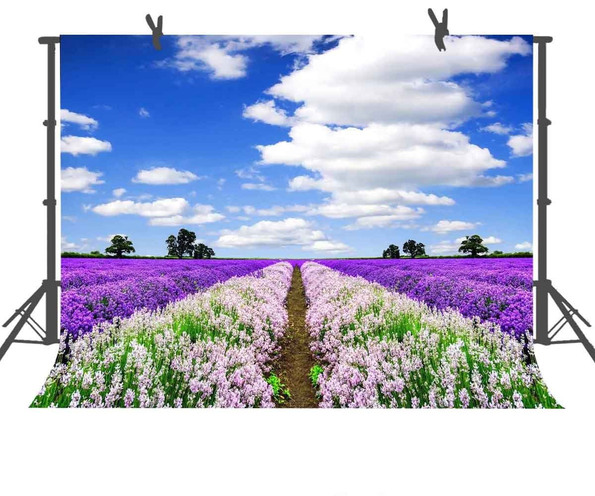 GreenDecor 7x5ft Flower Field Under Blue Sky Clouds Photography ...