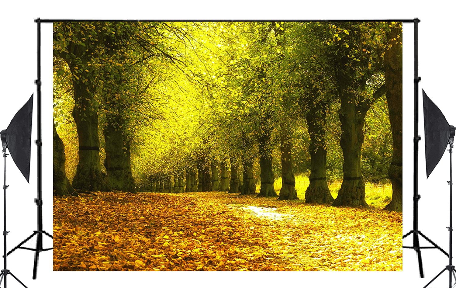 GreenDecor 7x5ft Forest Digital Printed Photography Backdrop Prop Photo ...