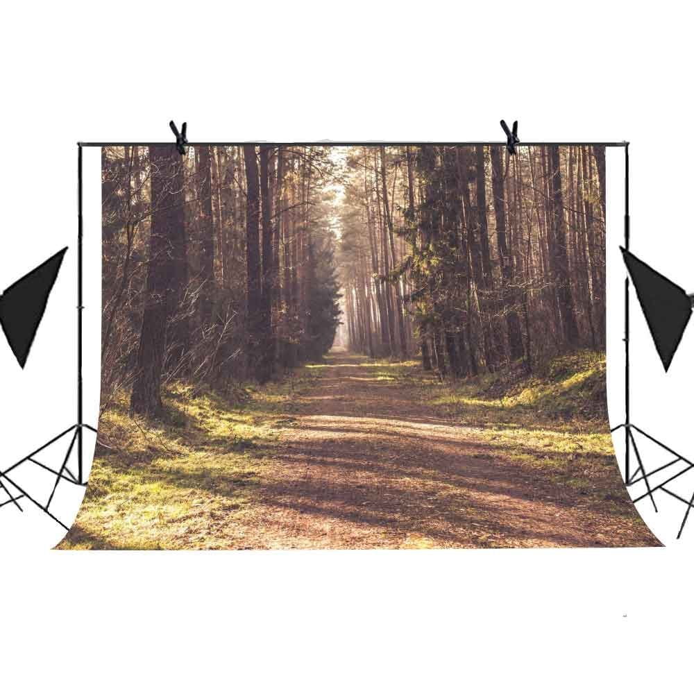 GreenDecor 7x5ft Forest Photography Backdrop Tree Grass Road Sunshine ...