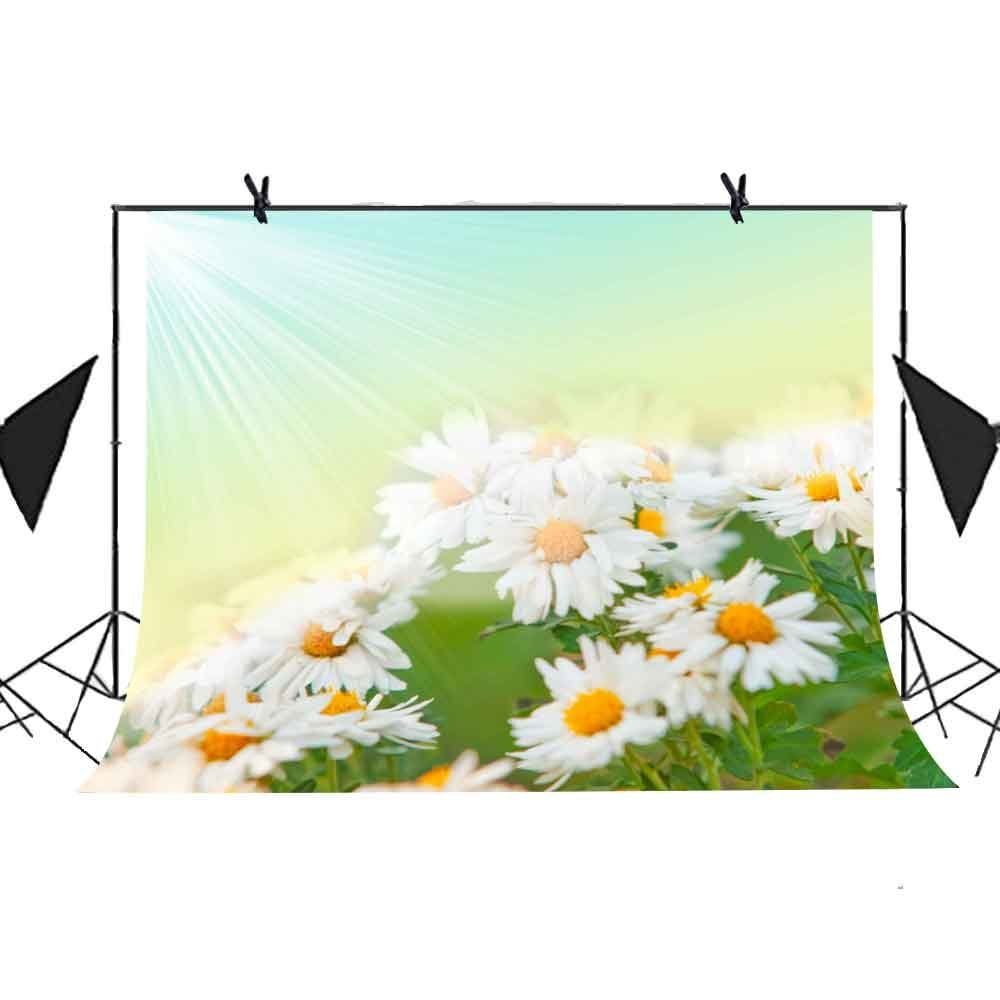 GreenDecor 7x5ft Fresh Scenery Backdrop Blooming Flowers Sunny Blue Sky ...