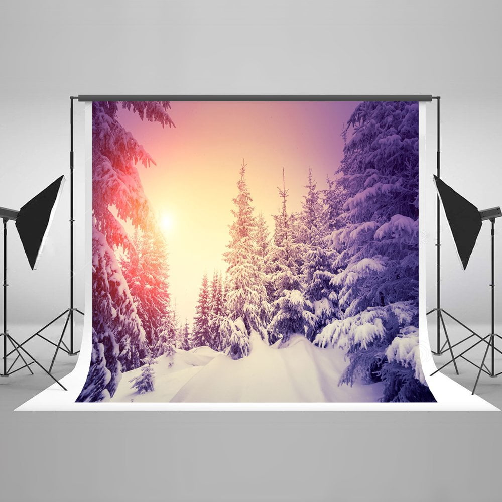 GreenDecor 7x5ft Golden Beautiful Setting Sun Snow Tree Ground Forest ...