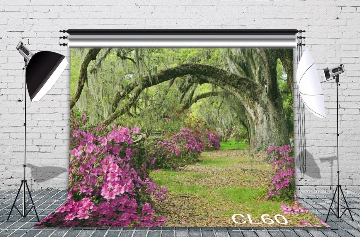 GreenDecor 7x5ft Green Forest Autumn Scenery Fall Photography Backdrops ...