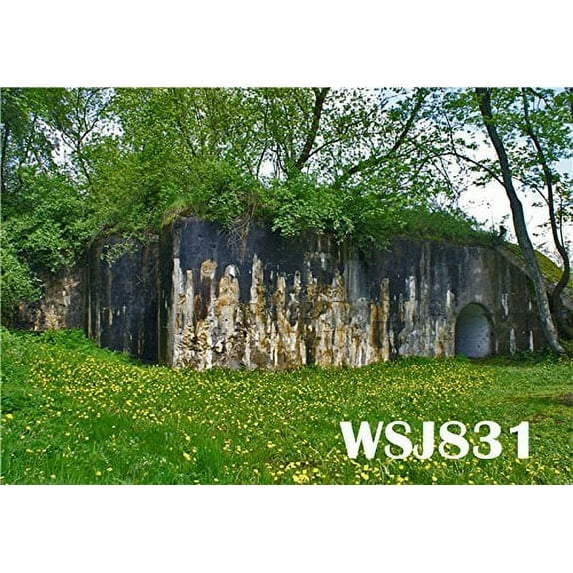 GreenDecor 7x5ft Green Grass Photography Backdrop Photo Background ...