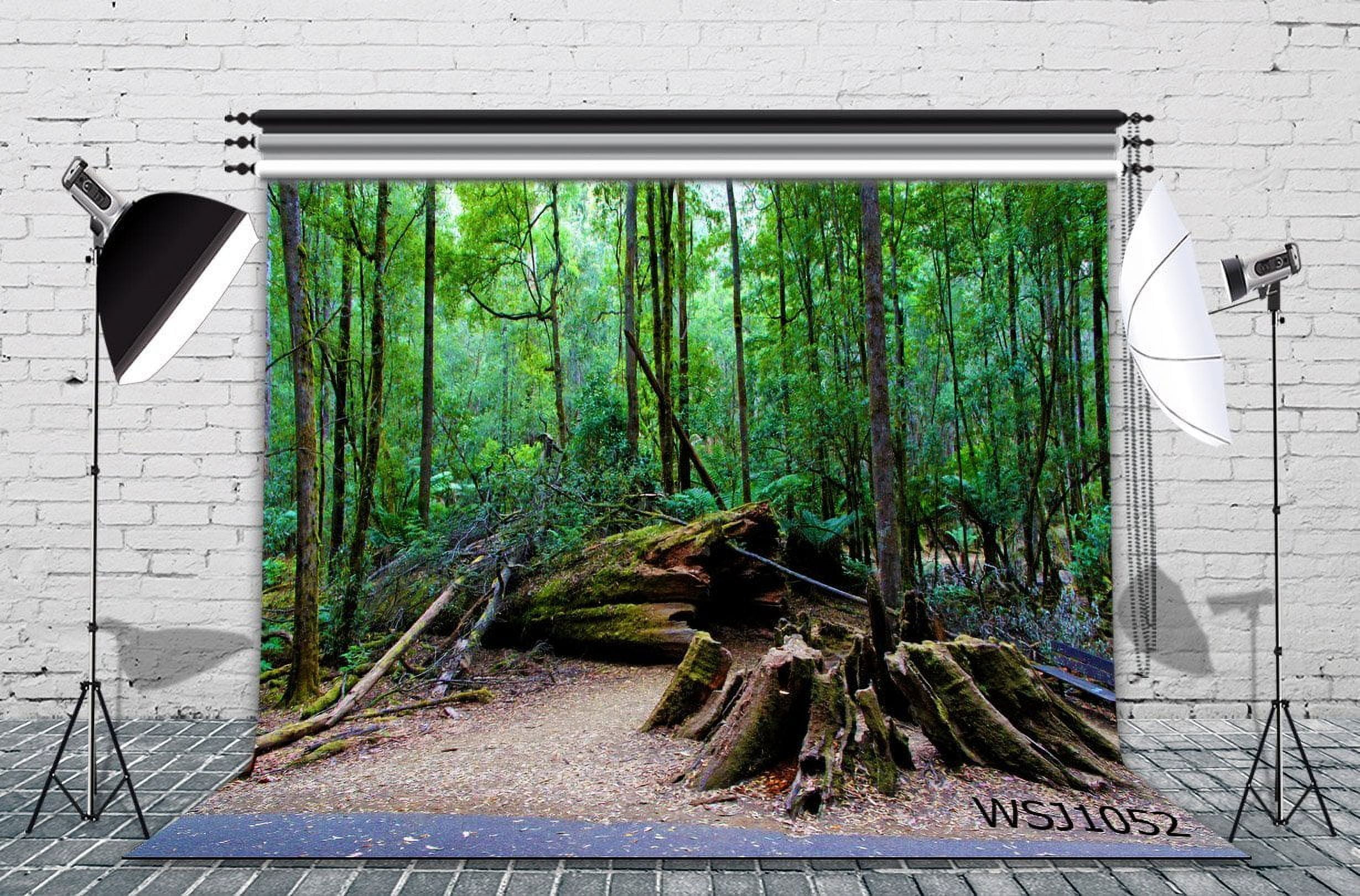 GreenDecor 7x5ft Halloween Forest Photography Backdrop Background Photo ...