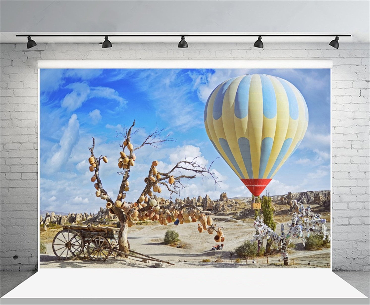 GreenDecor 7x5ft Hot Air Balloon Backdrop Gobi Scenic Photography ...