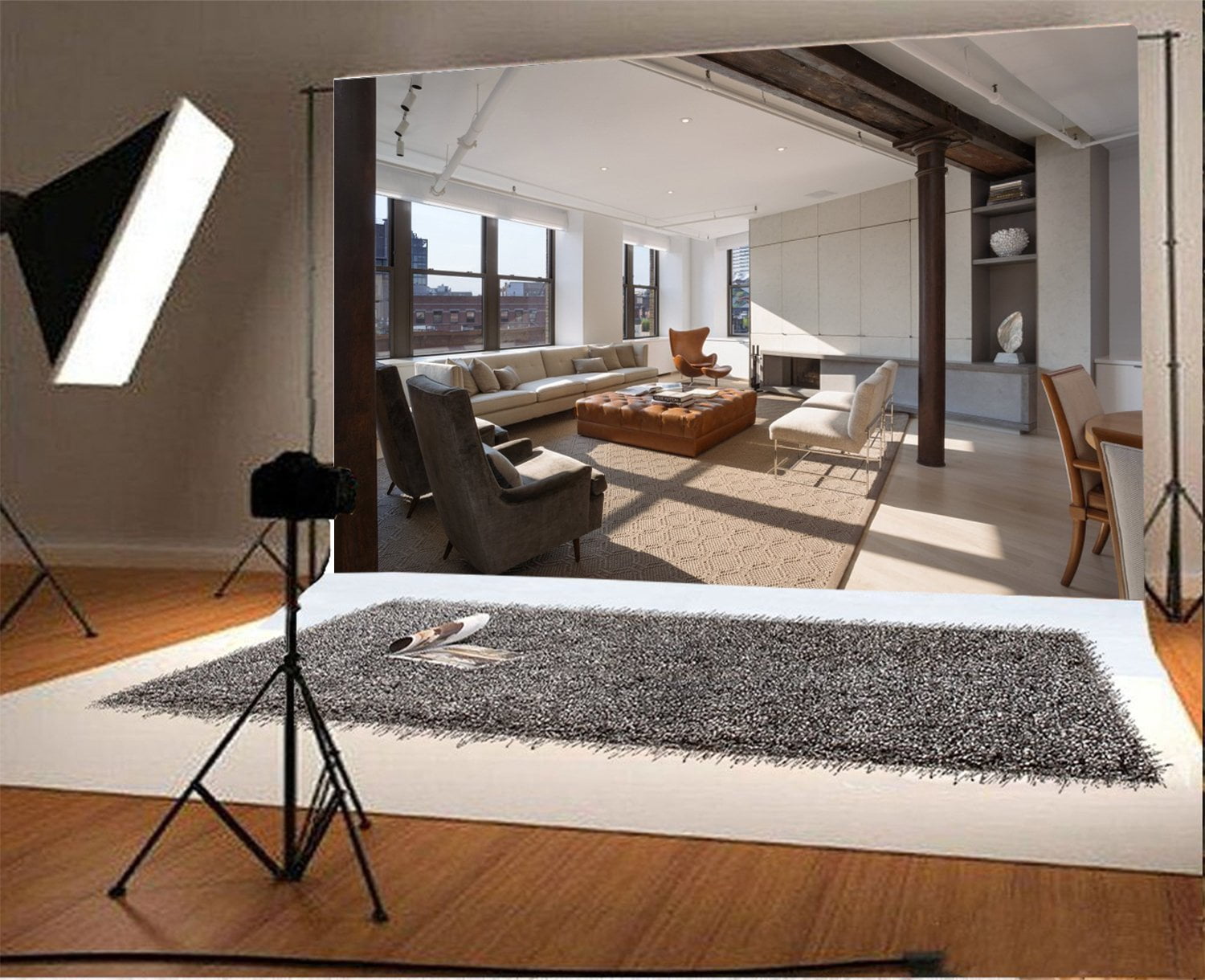 GreenDecor 7x5ft Interior Backdrop Sofa French Sash Sunshine Carpet ...