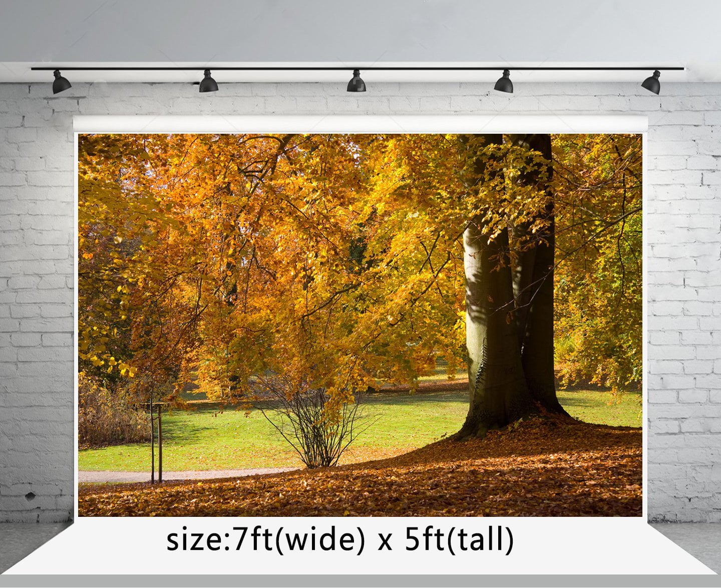 GreenDecor 7x5ft Nature Scenery Photo Backgrounds Fall Maple Tree ...