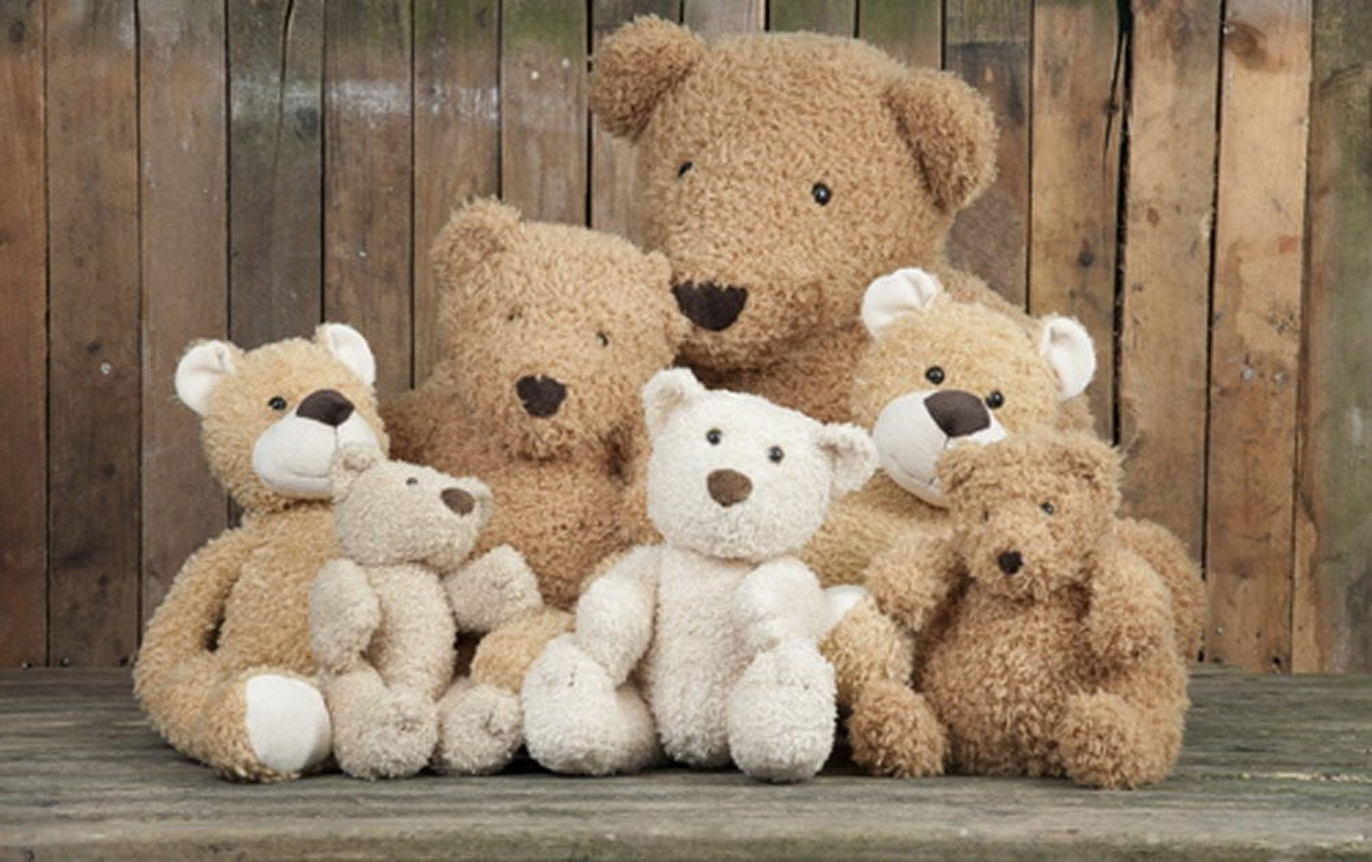 GreenDecor 7x5ft Newborns Children Baby Pet Bear Photography Indoor ...