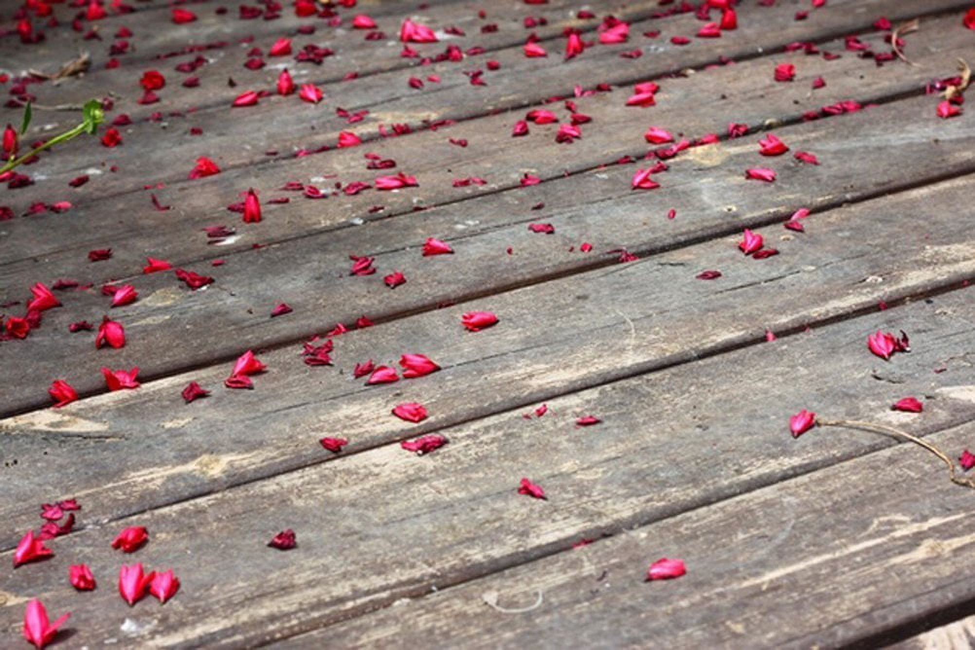 GreenDecor 7x5ft Newborns Children Photography Backdrop Prop Photo ...