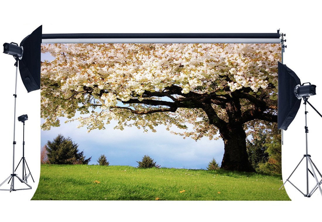 GreenDecor 7x5ft Photography Backdrop Cherry Blossom Flowers Old Tree ...