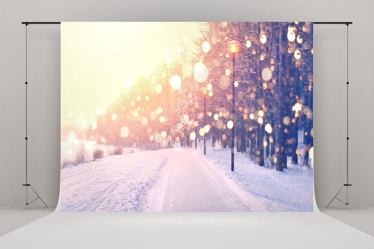 GreenDecor 7x5ft Photography Backdrops Sunshine Forest Snow Winter ...