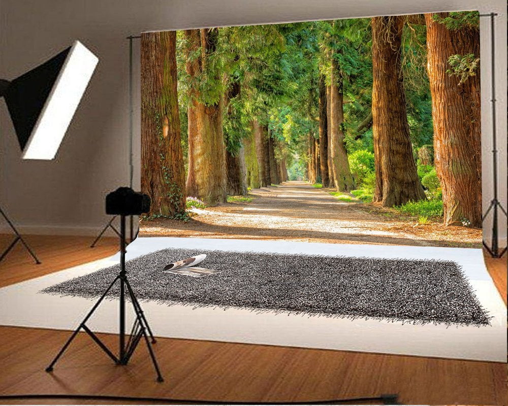 GreenDecor 7x5ft Photography Background Forest Painting Road Nature ...