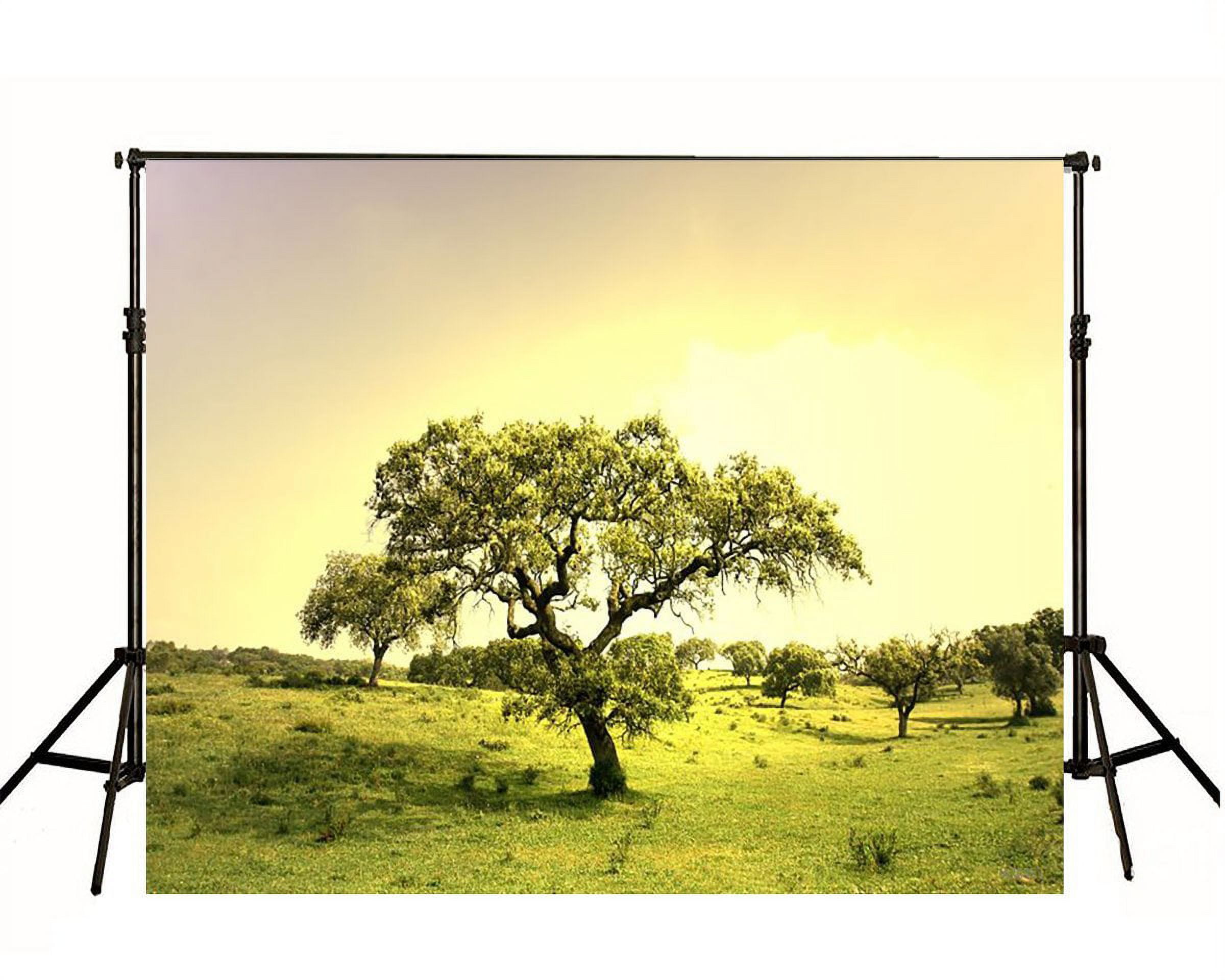 GreenDecor 7x5ft Photography Background Green Grassland Photography ...