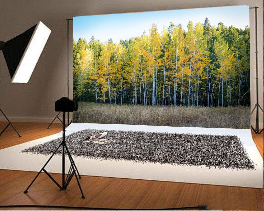 GreenDecor 7x5ft Photography Trees Backdrop Forests Autumn Grass Video ...