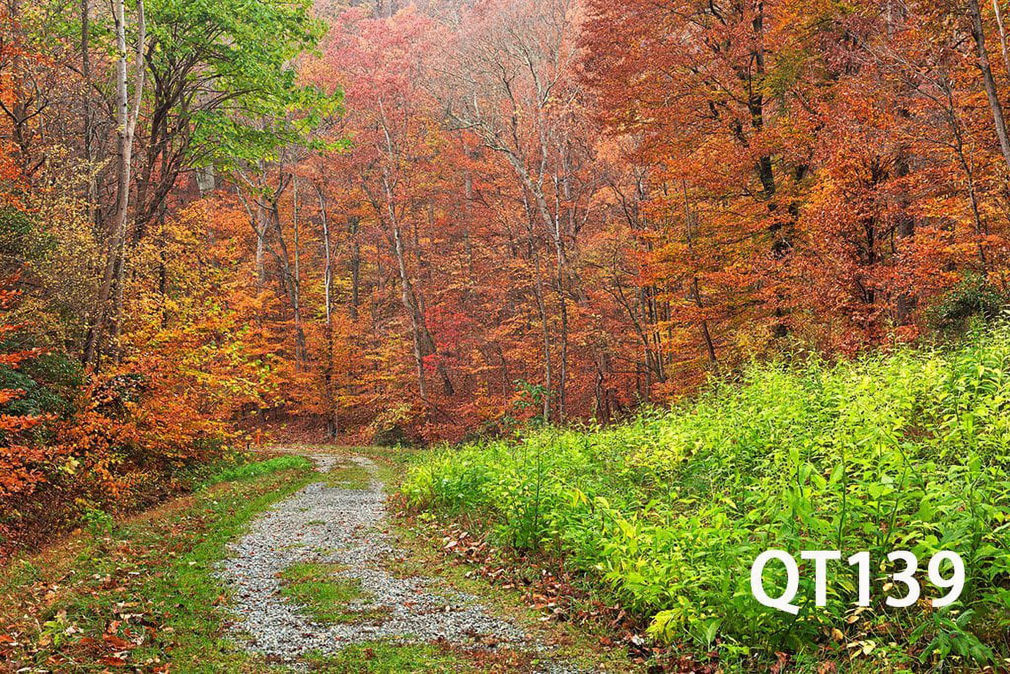 GreenDecor 7x5ft Red Leaves Filled with Trees Fall Photography ...