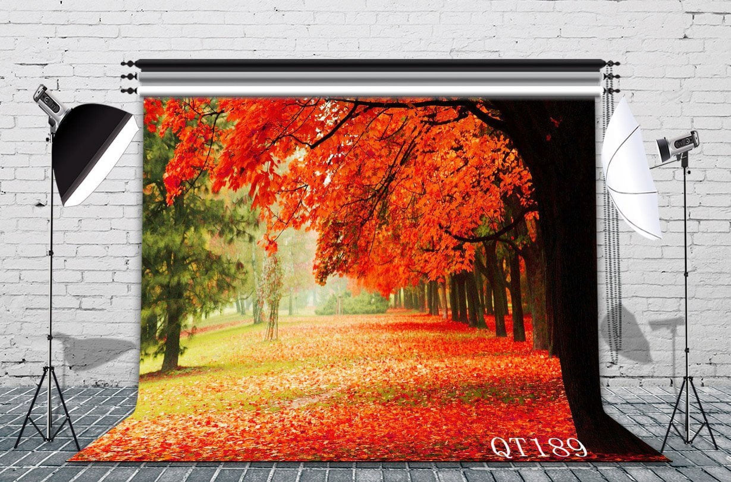 GreenDecor 7x5ft Red Leaves Full of Trees Photo Backdrop Fall ...