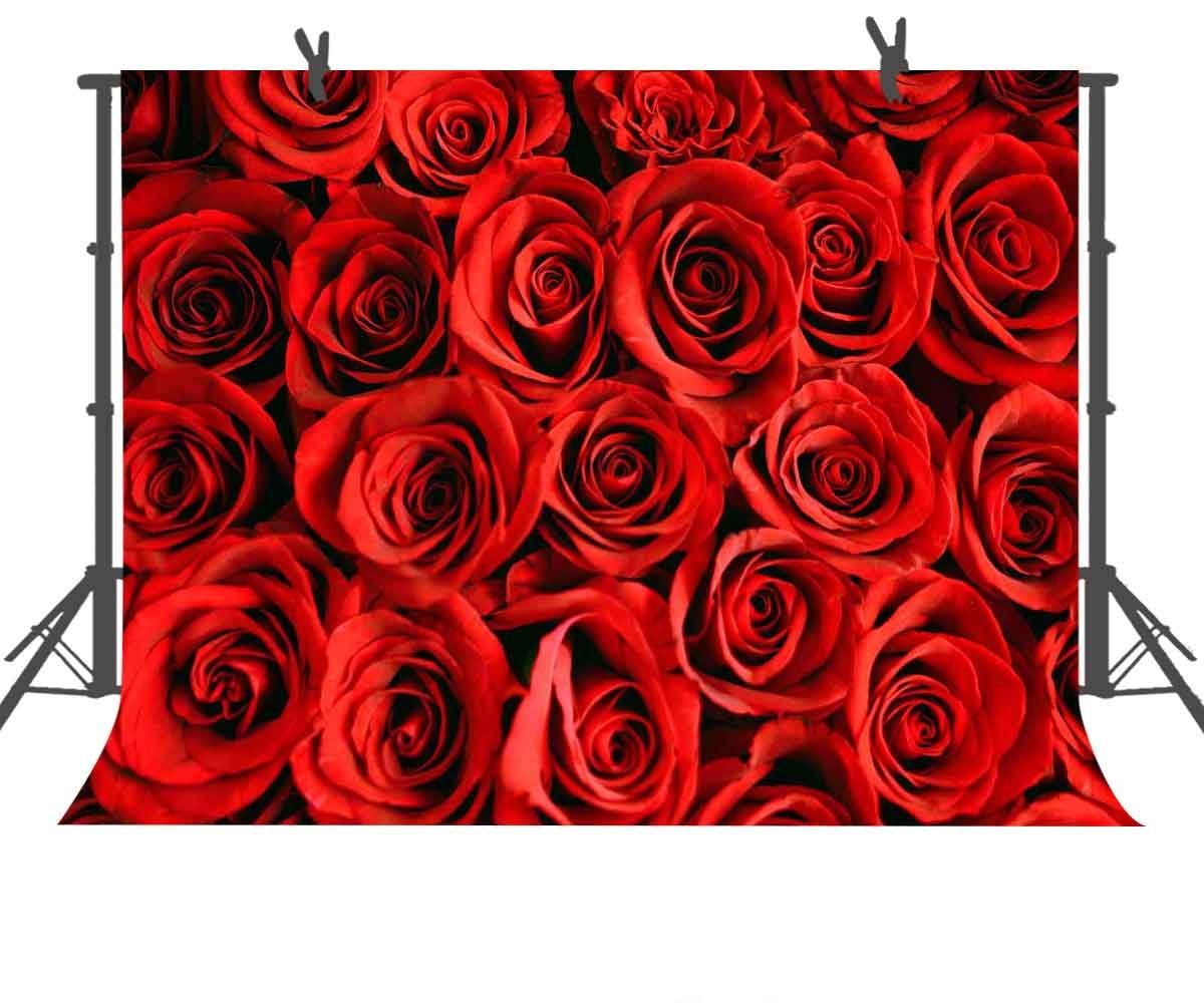 GreenDecor 7x5ft Red Rose Photography Backdrop Props Flower Wall Photo ...