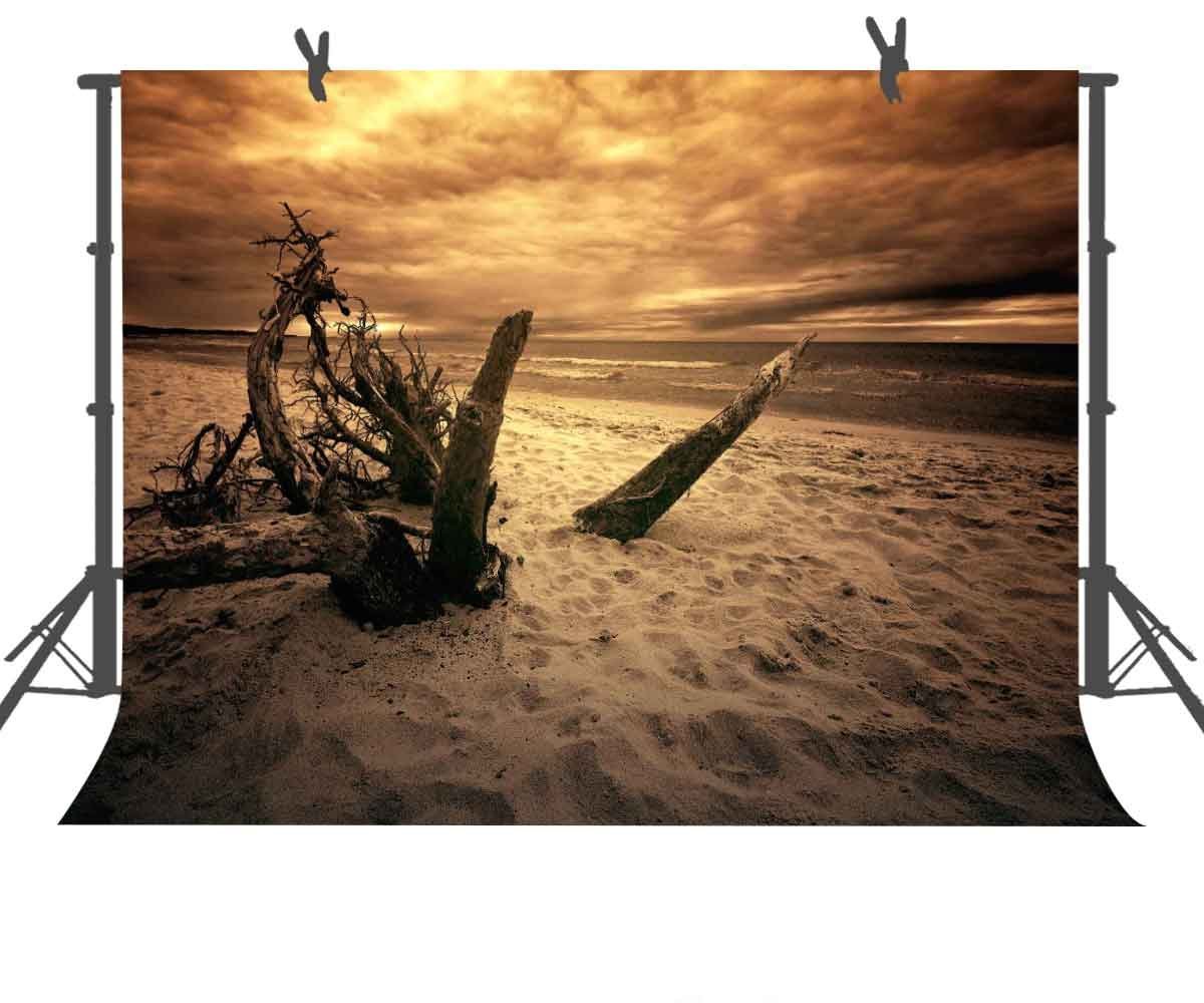 GreenDecor 7x5ft Seaside Beach Backdrop Studio Photography Props Photo ...