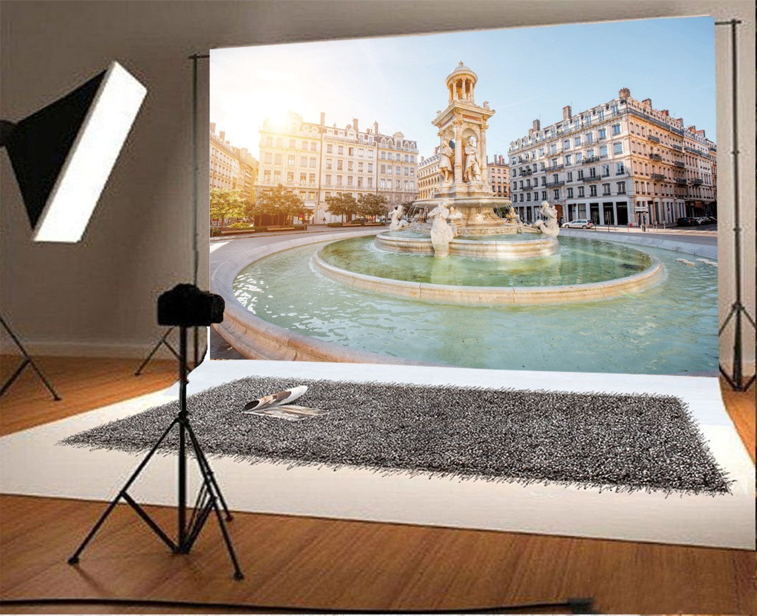 GreenDecor 7x5ft Statue Backdrop Morning ViewcJacobins Square and ...