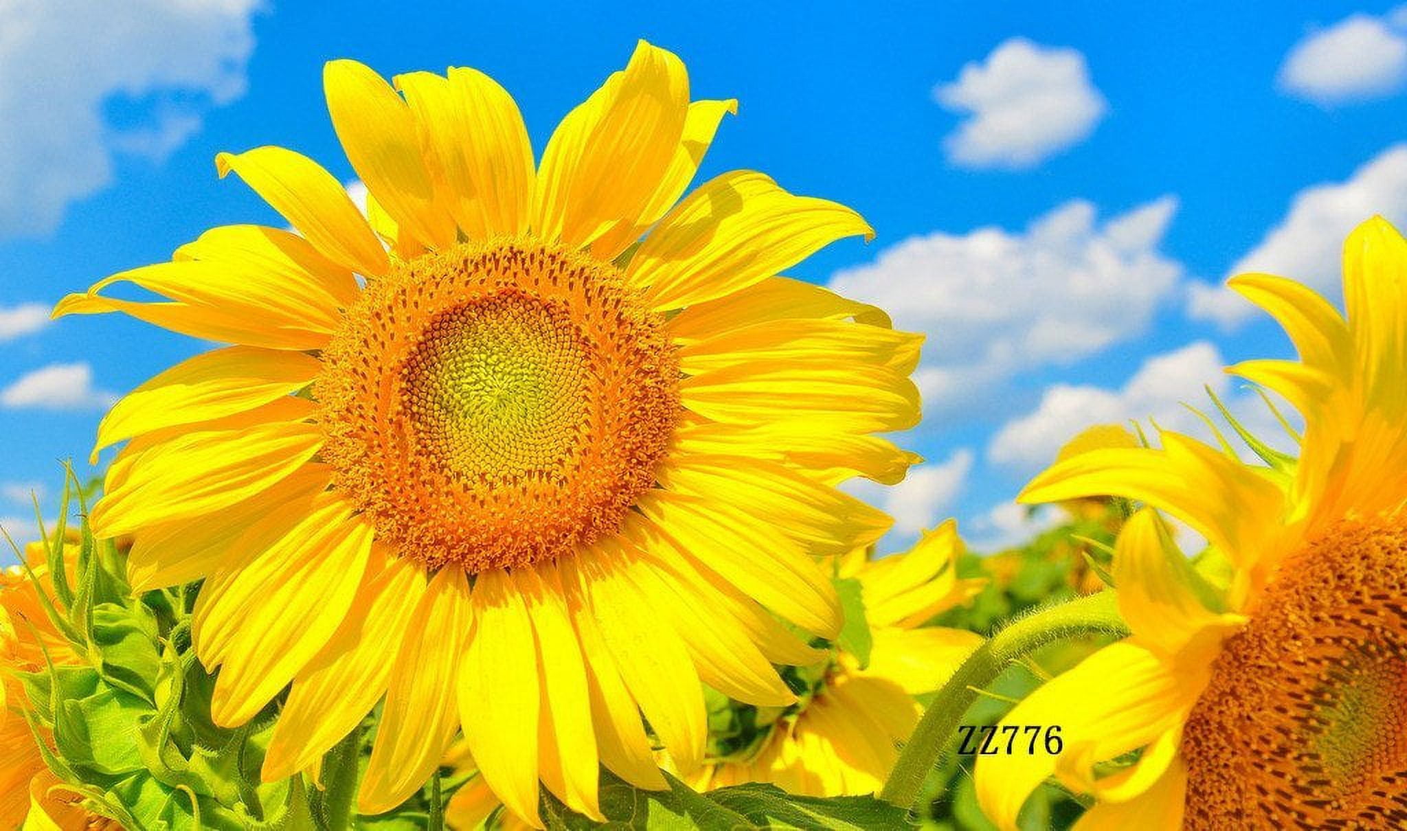 GreenDecor 7x5ft Sunflower photography Backdrop Background studio prop ...