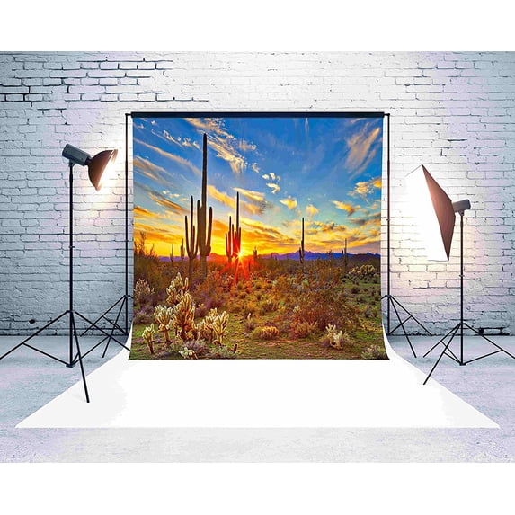 GreenDecor 7x5ft Sunset Big Cactus Colorful Flowers Photography ...