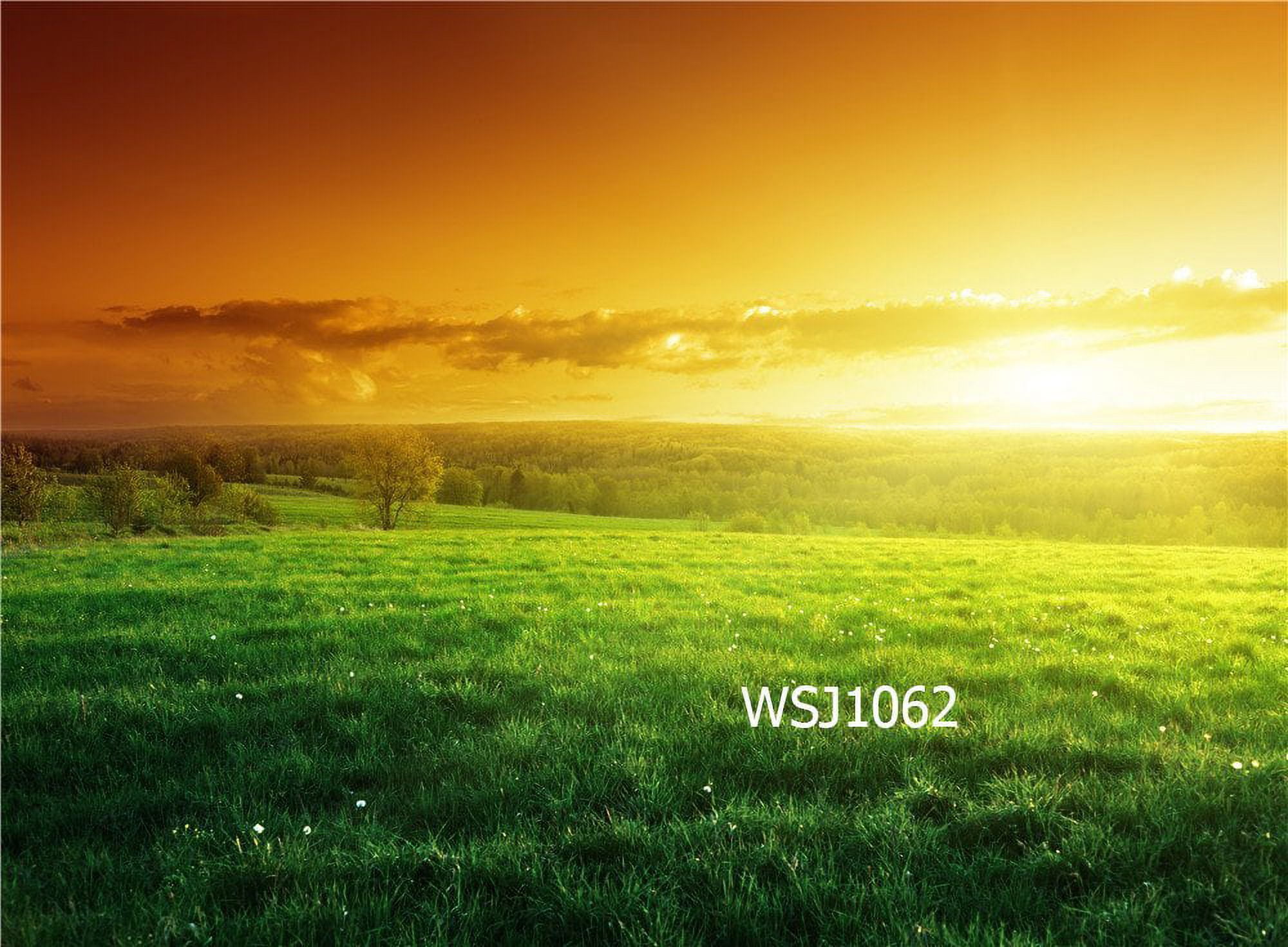 GreenDecor 7x5ft The Beauty of The Wilderness Photography Backdrop ...