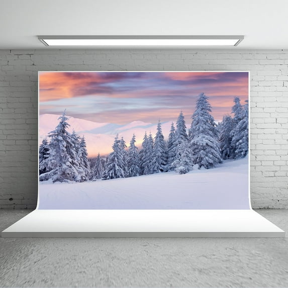 GreenDecor 7x5ft White Snow Winter Backdrops Photography Background ...