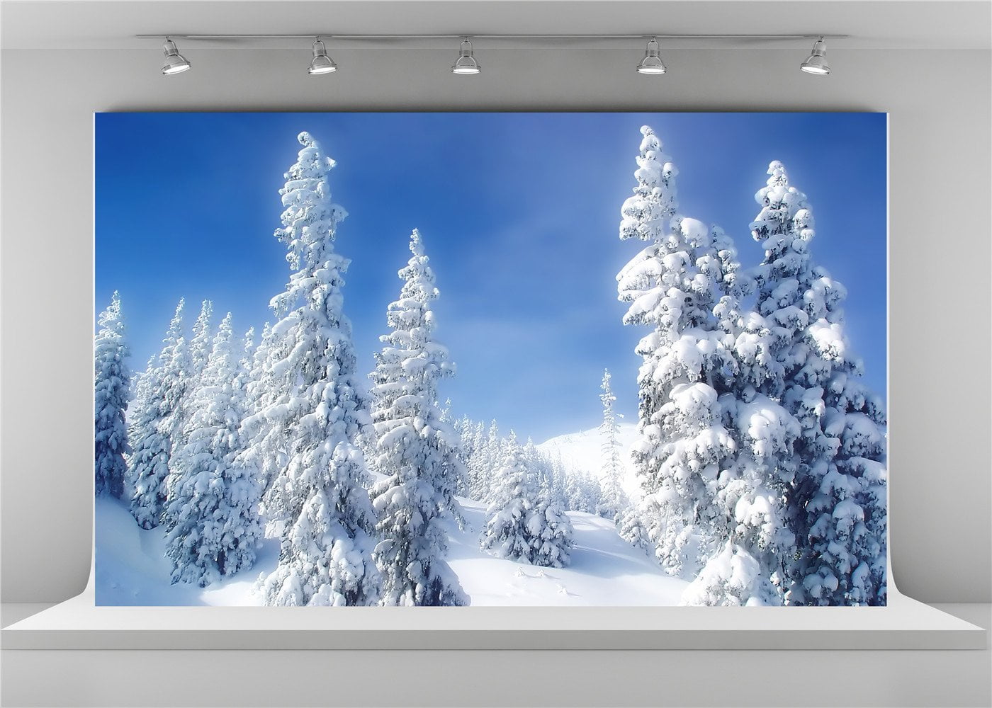 GreenDecor 7x5ft Winter Backdrops for Photographer Sunny Blue Sky ...