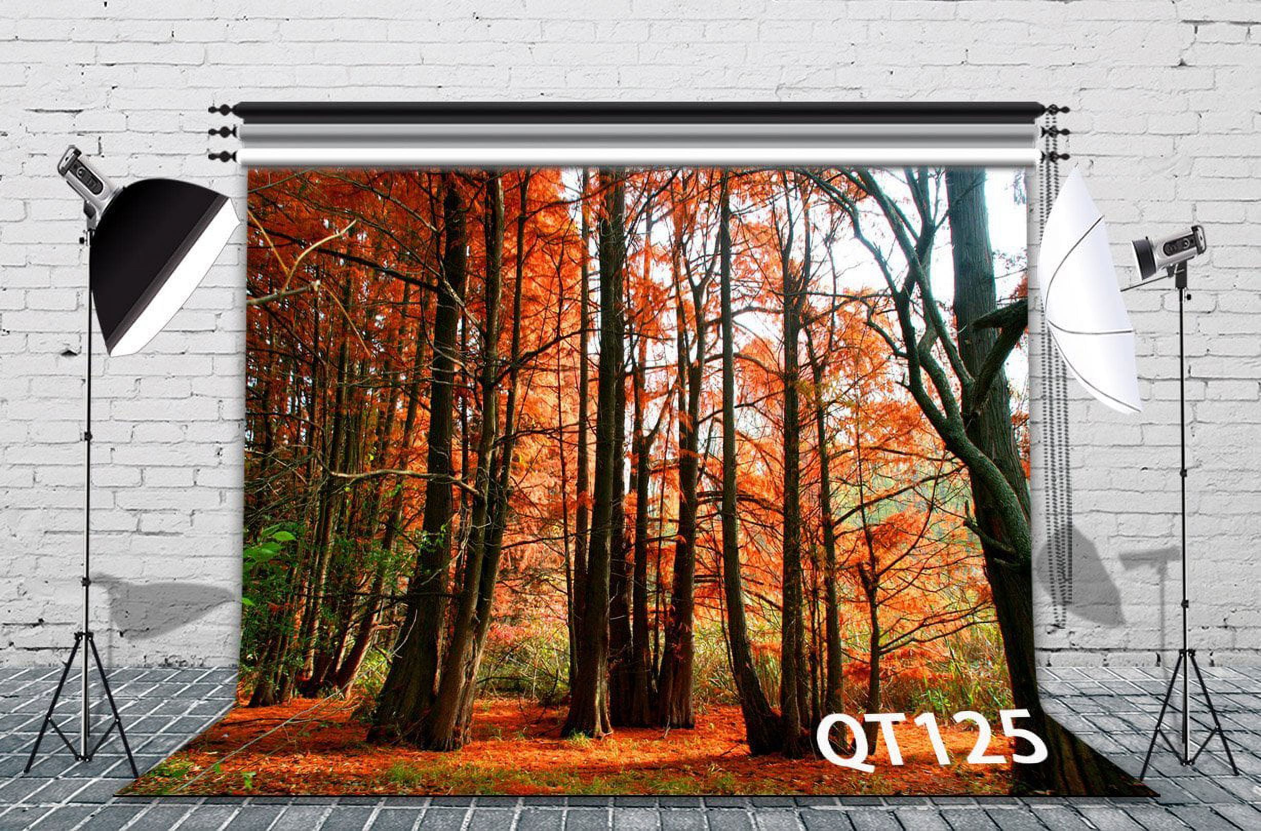 GreenDecor 7x5ft Woods Full of Red Leaves Fall Photo Backdrop ...