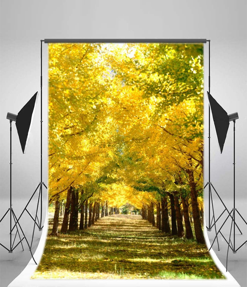 GreenDecor Autumn Backdrop 5x7ft Fallen Leaves Trees Bright Sunshine ...