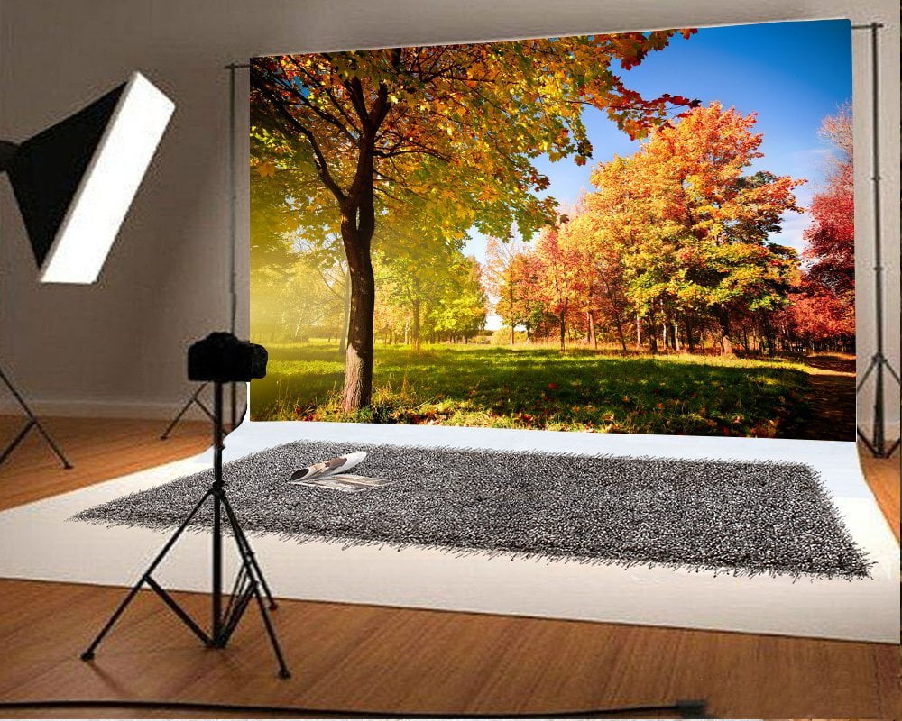 GreenDecor Autumn Backdrop 7x5ft Fallen Leaves Trees Grass Land Nature ...