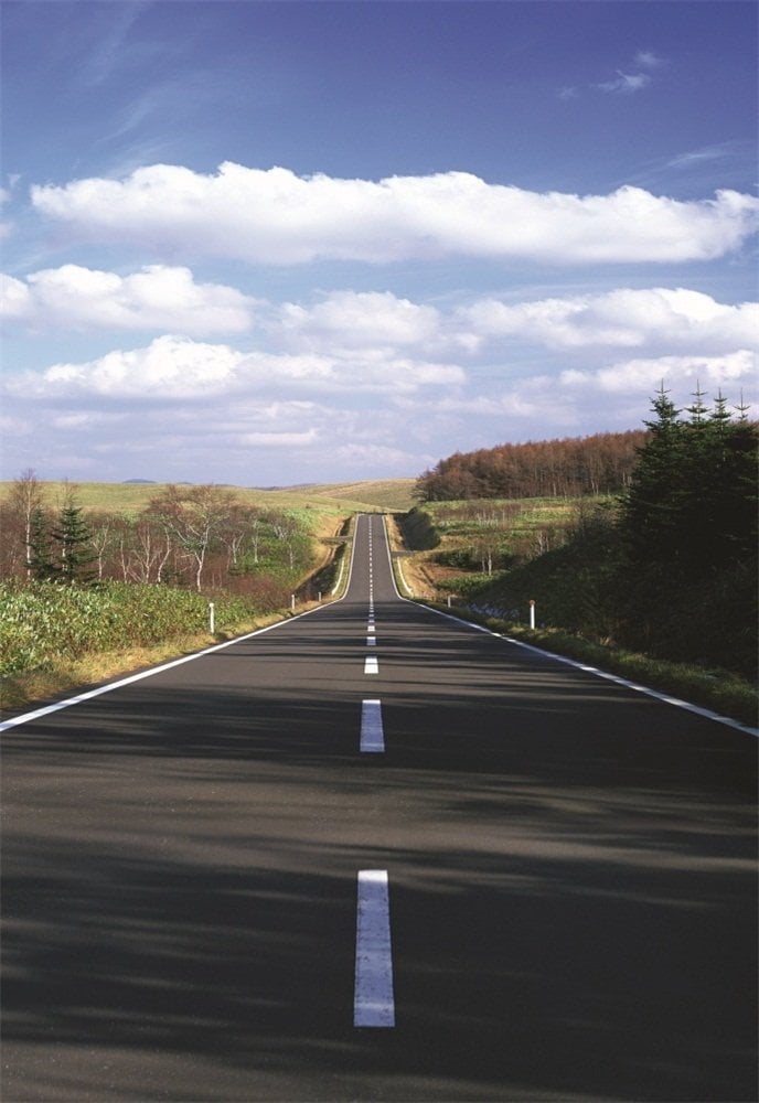 GreenDecor Backdrop 5x7ft Photography Background Nature Highway Scenery ...