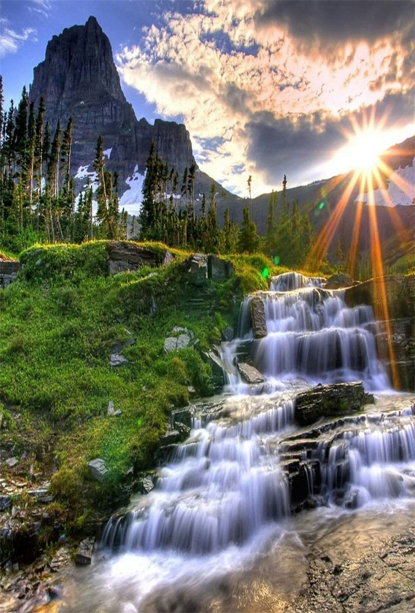 GreenDecor Backdrop,Shooting Portraits 5x7ft Photography Background ...