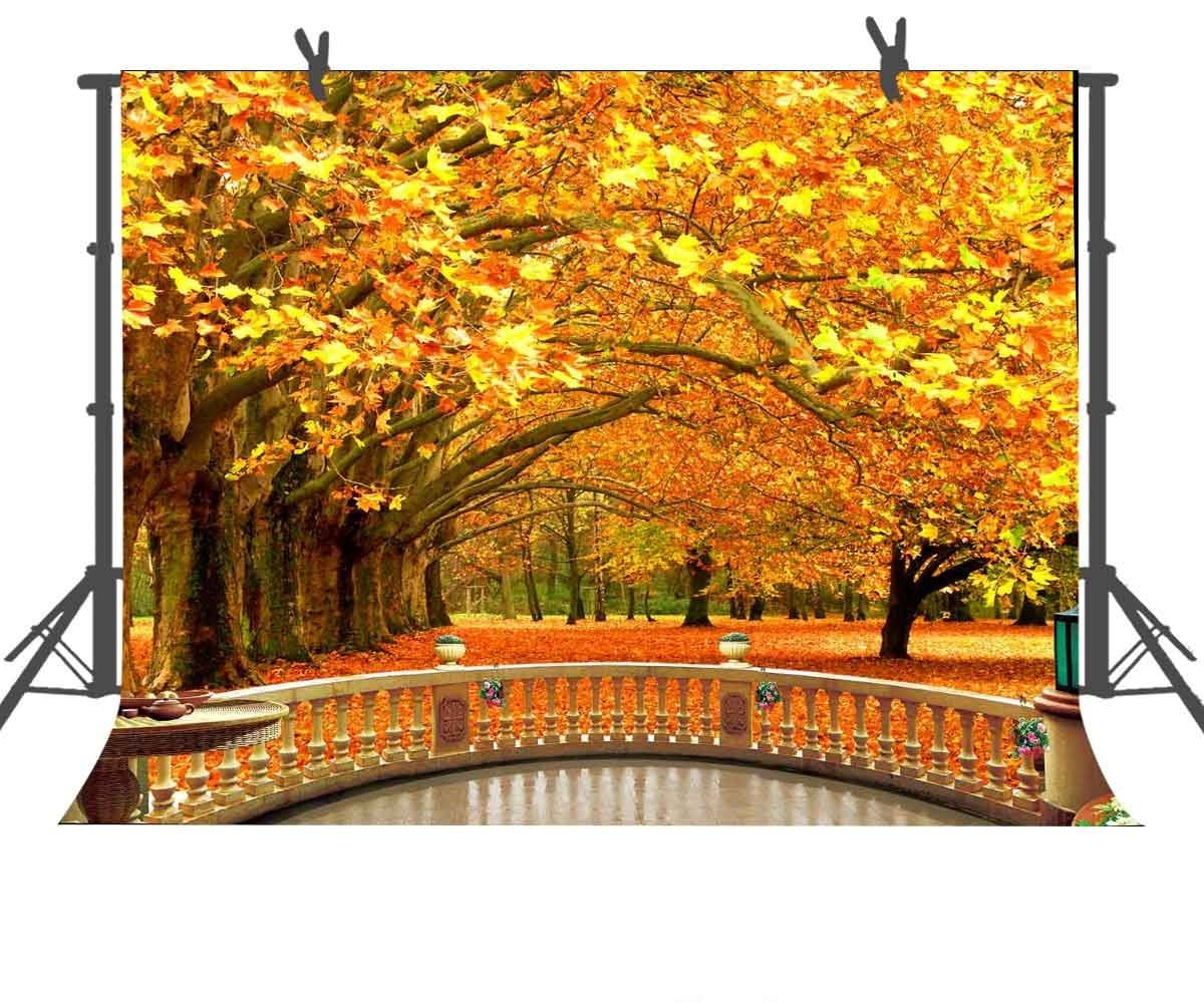 GreenDecor Background 7x5ft Autumn Park Yellow Trees Photography ...