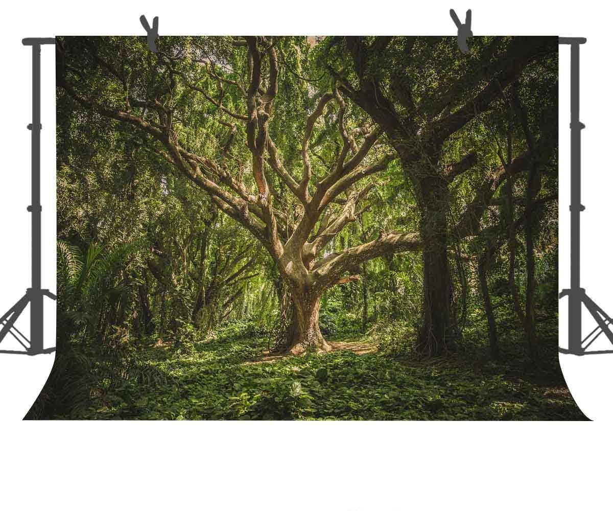 GreenDecor Background 7x5ft Green Forests Photography Backdrop Photo ...