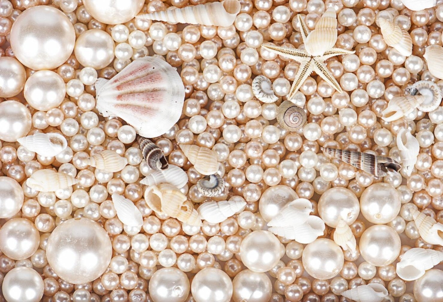GreenDecor Backgrounds Pearl Sea Shells Photography Studio Backdrop ...