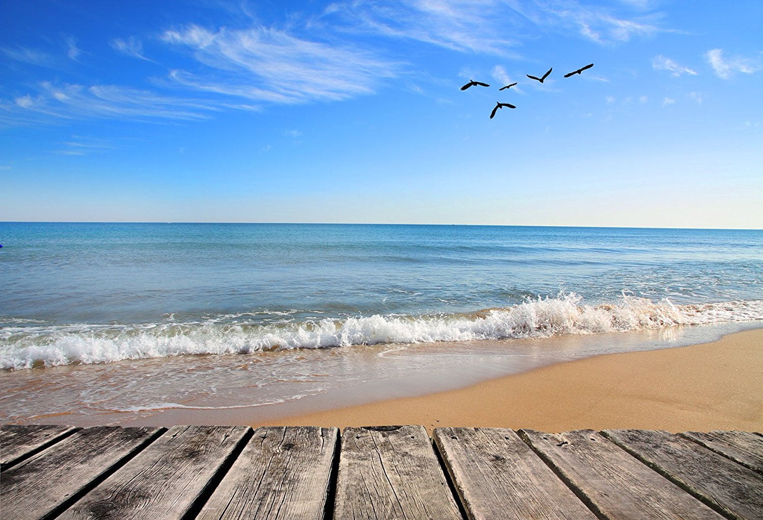 GreenDecor Beach Themed Backdrop Tropical Sea with Seagulls White Wave ...