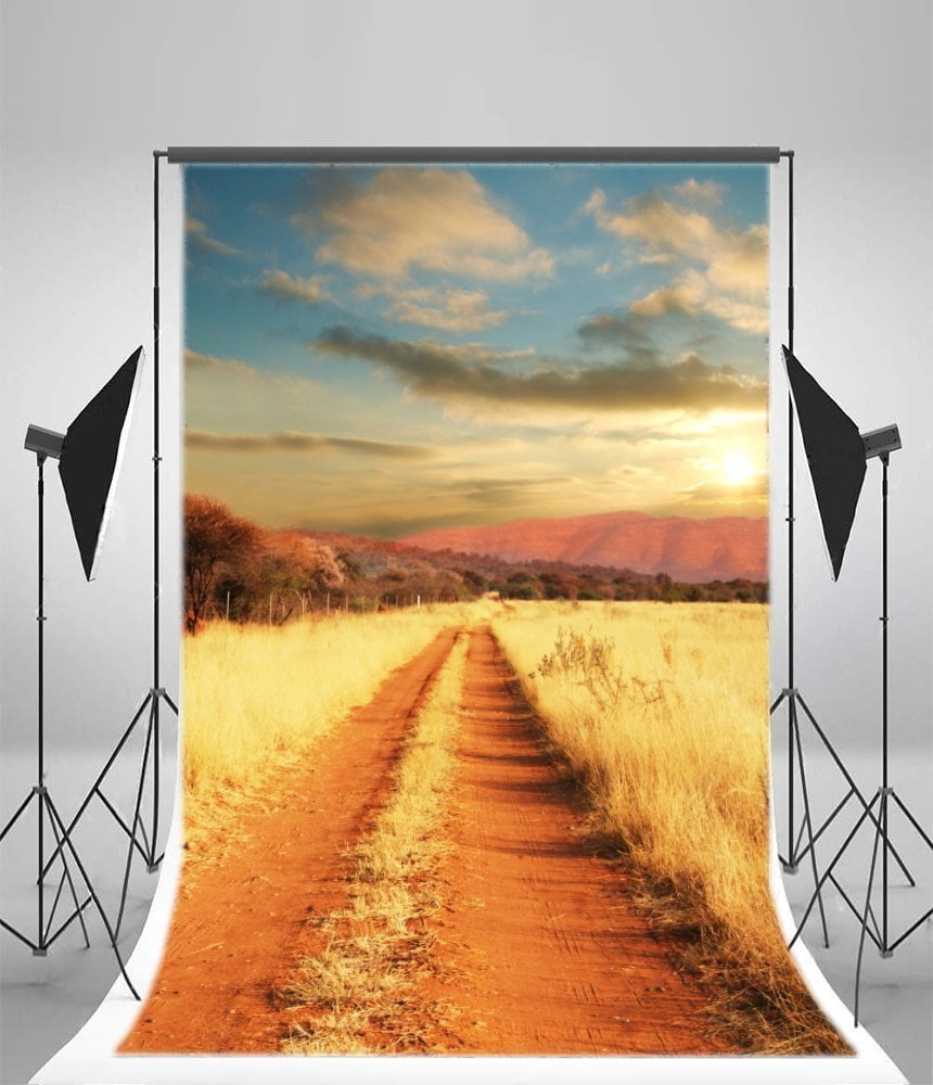 GreenDecor Dusk Field Backdrop 5x7ft Photography Backdrop Setting Sun ...