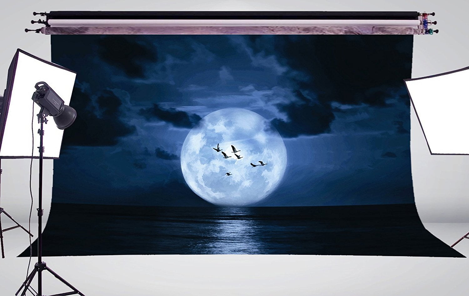 GreenDecor Flying Birds Under The Moon Photography Backdrop Studio ...